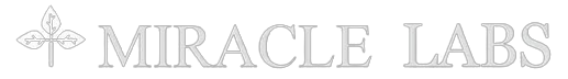 Home - Miracle Labs English